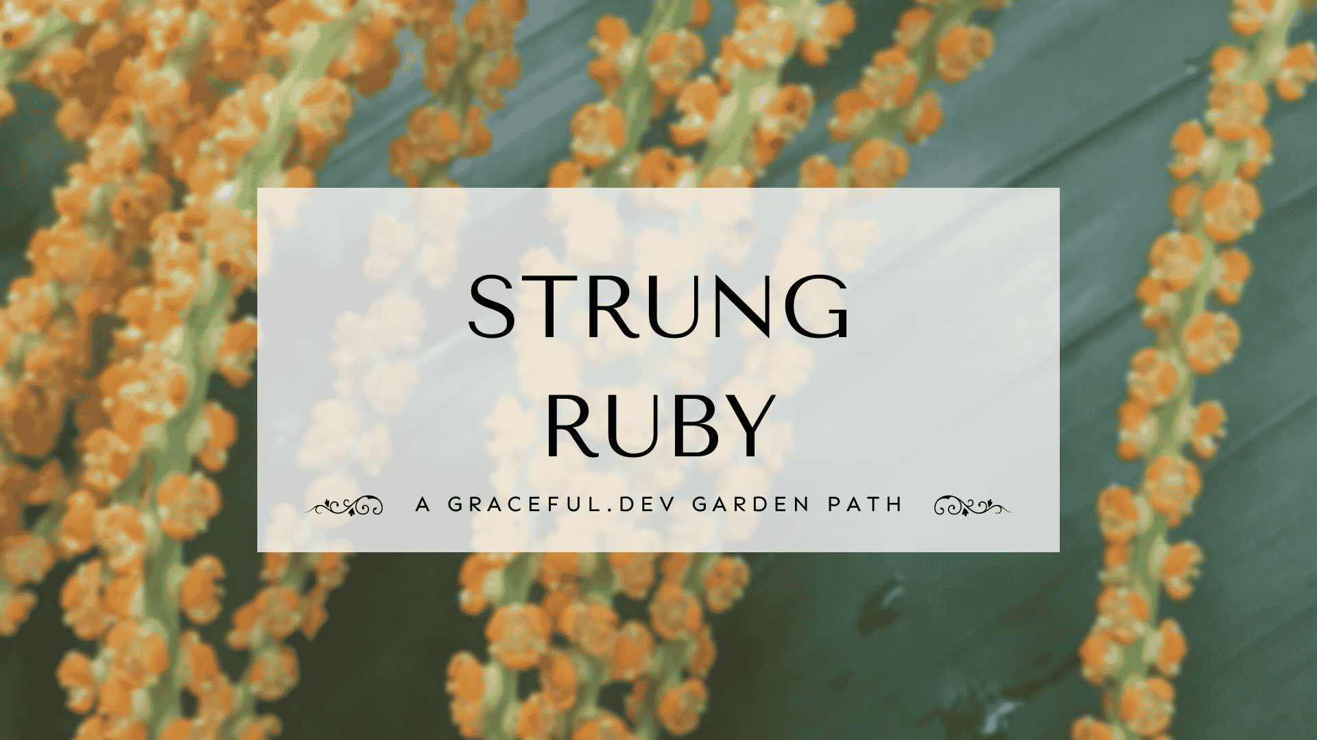 Strung Ruby Course - Graceful.Dev