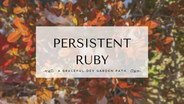 Persistent Ruby Course - Graceful.Dev