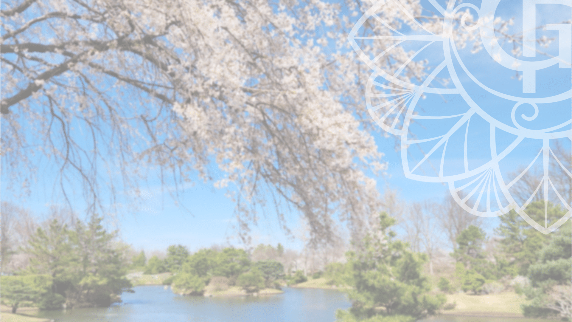 Site News #25: Filter Map and Snippets - Graceful.Dev